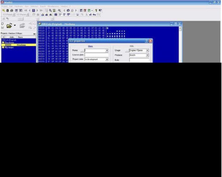 WinOLS Download for Win XP/Win 7/Win 8/Win 10 & Installation - Auto ...